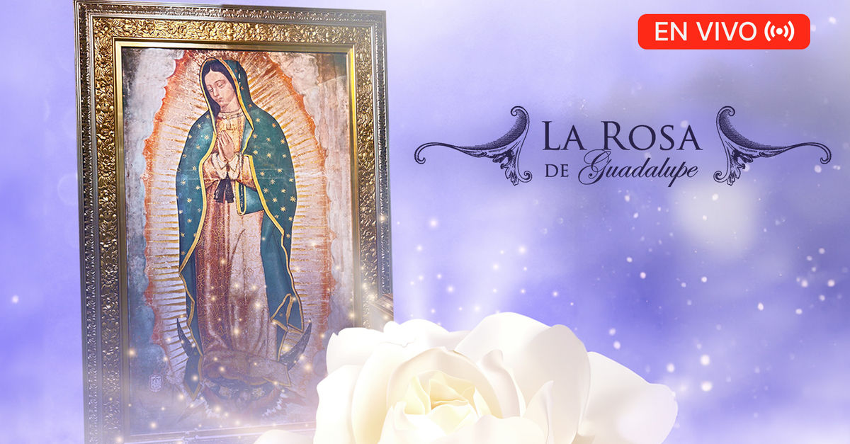 ViX: Cine y TV en Español