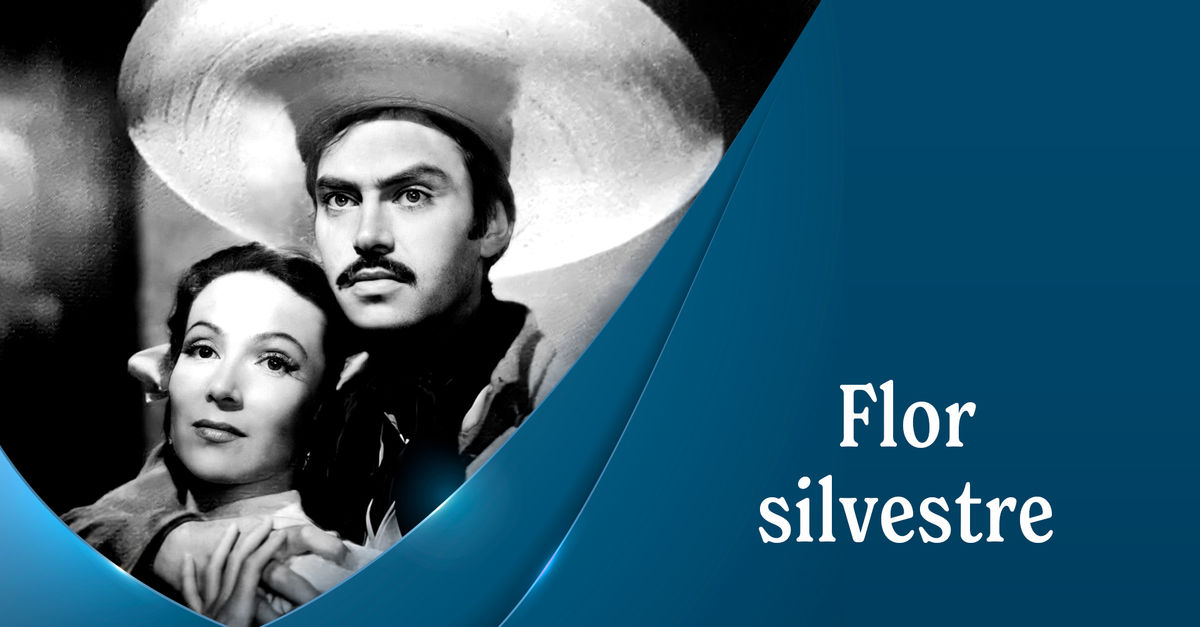 Ver Flor Silvestre por ViX