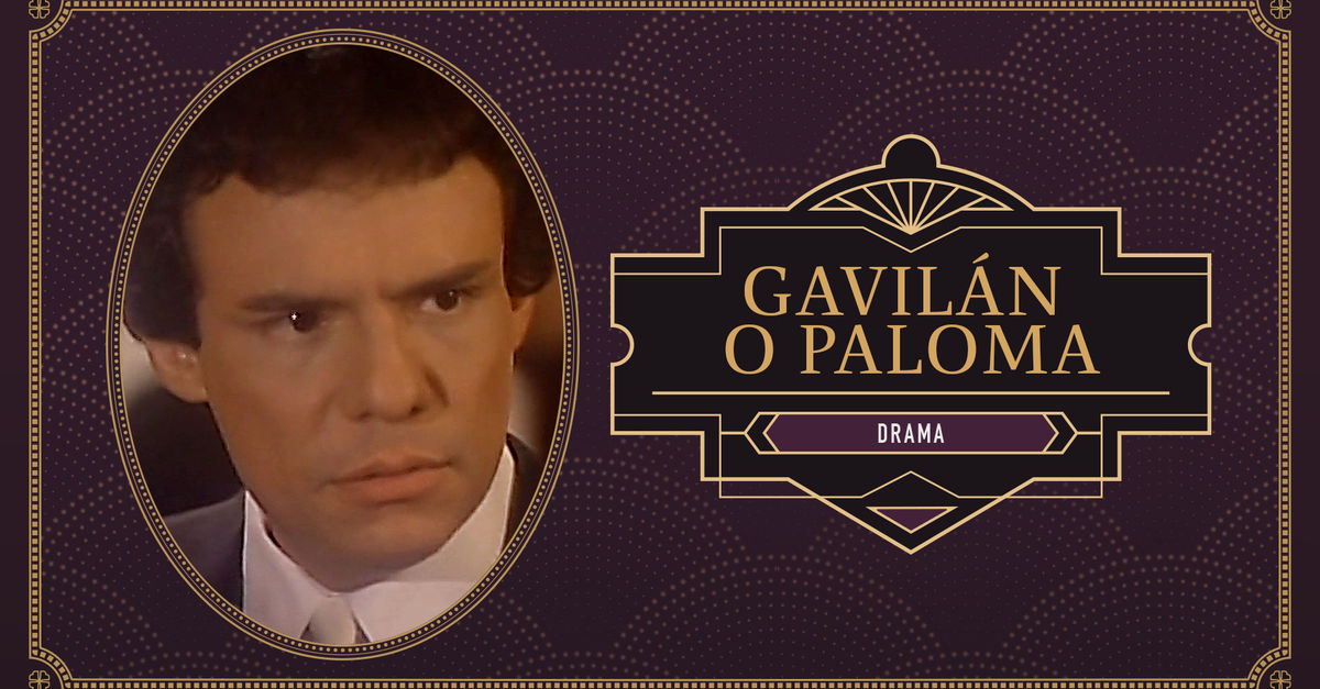 Ver Gavilán o paloma por ViX