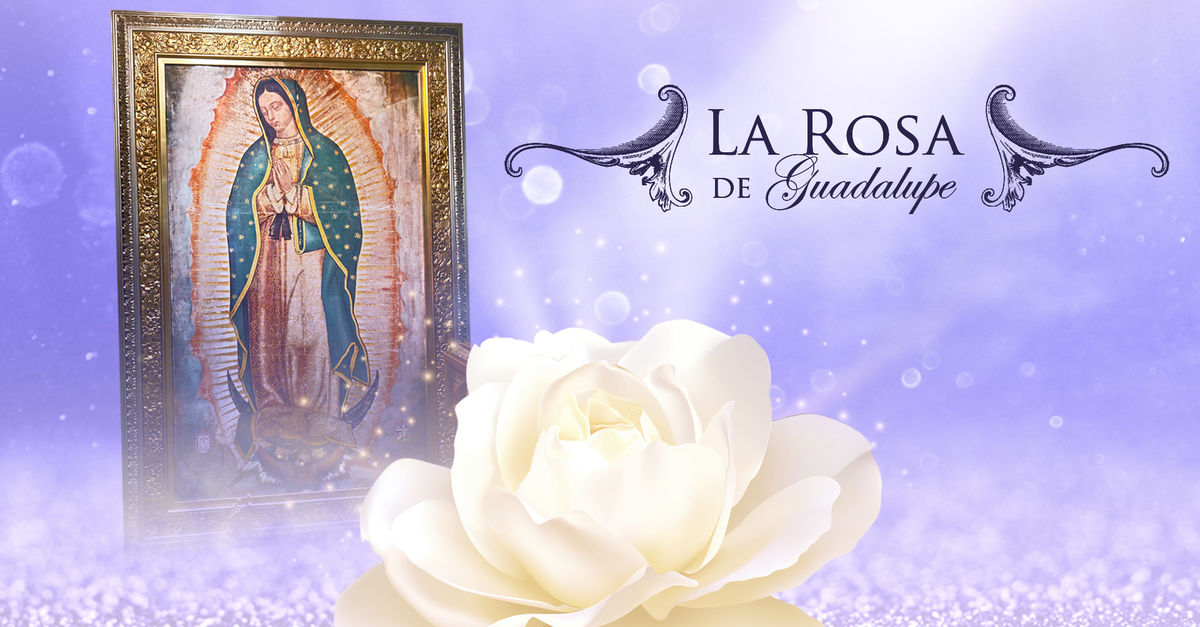 Ver La Rosa de Guadalupe, capítulo 44 temporada 1 por ViX