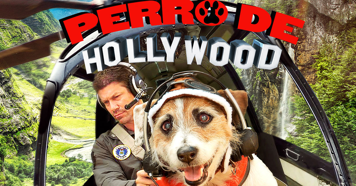 Ver Perro de Hollywood por ViX