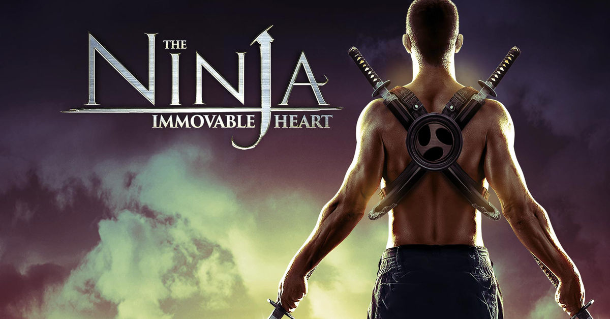 Ver The ninja immovable heart por ViX