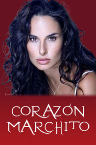 Mauricio Ochmann: Series y películas de Mauricio Ochmann sólo por ViX