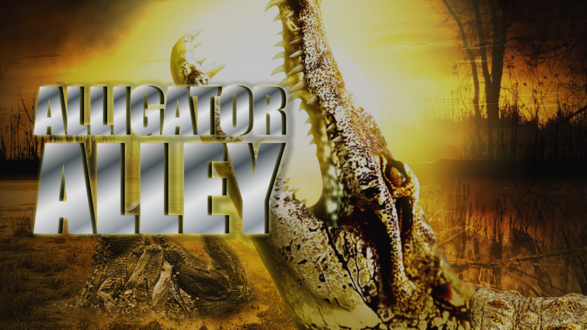 Ver Alligator Alley por ViX