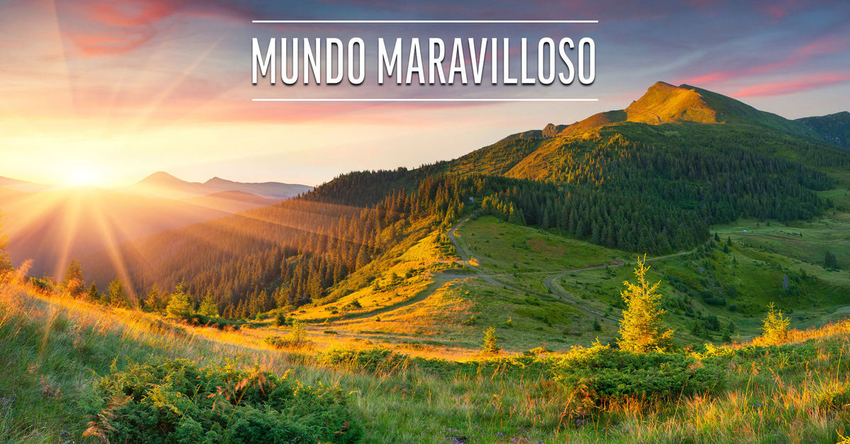 Ver Mundo Maravilloso, capítulo 34 temporada 1 por ViX