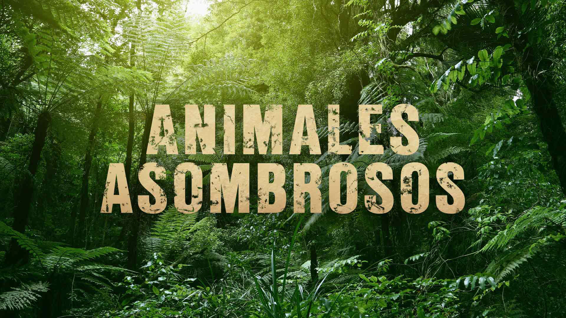 Ver Animales Asombrosos por ViX