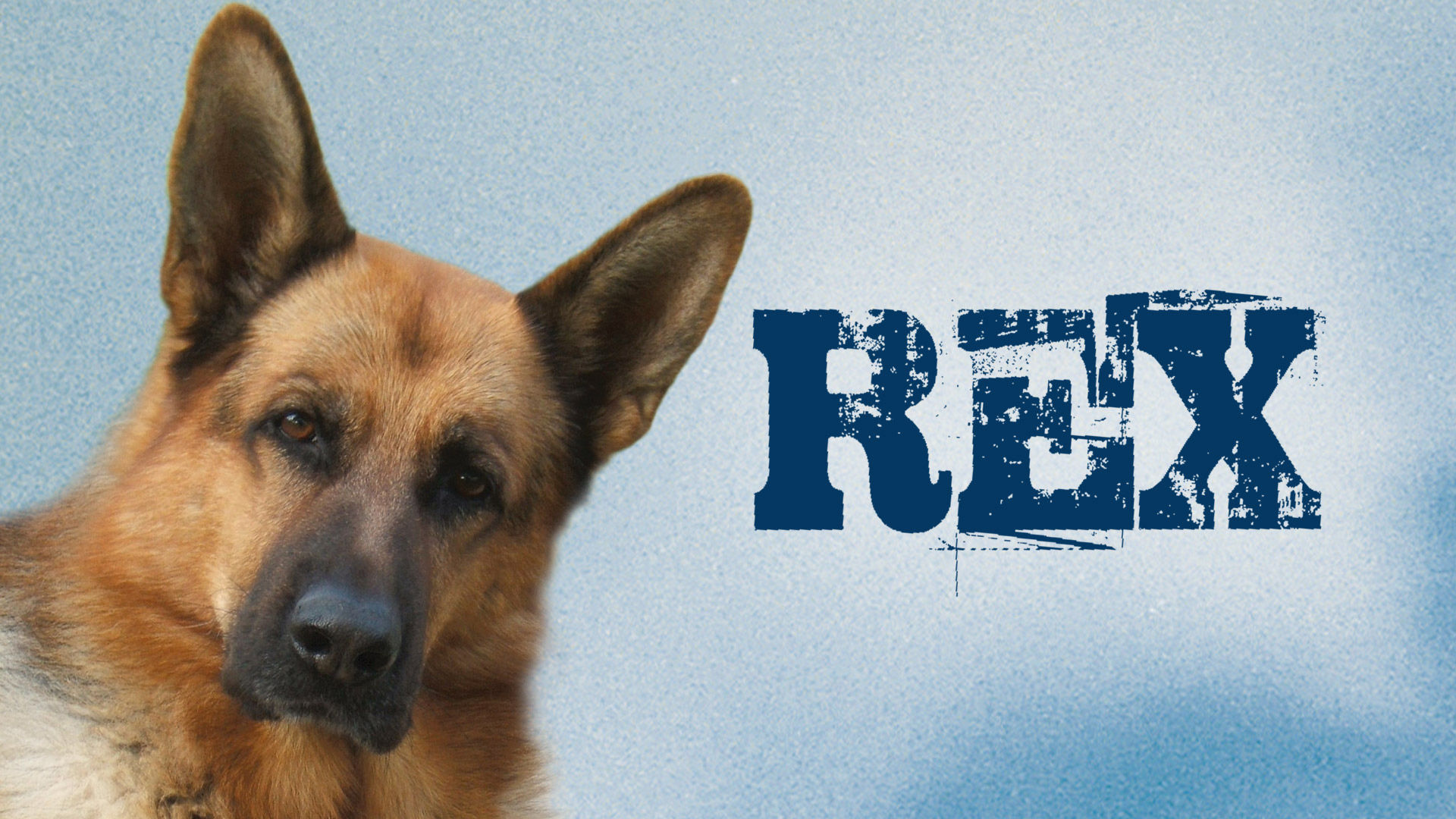 Ver Rex, capítulo 2 temporada 1 por ViX