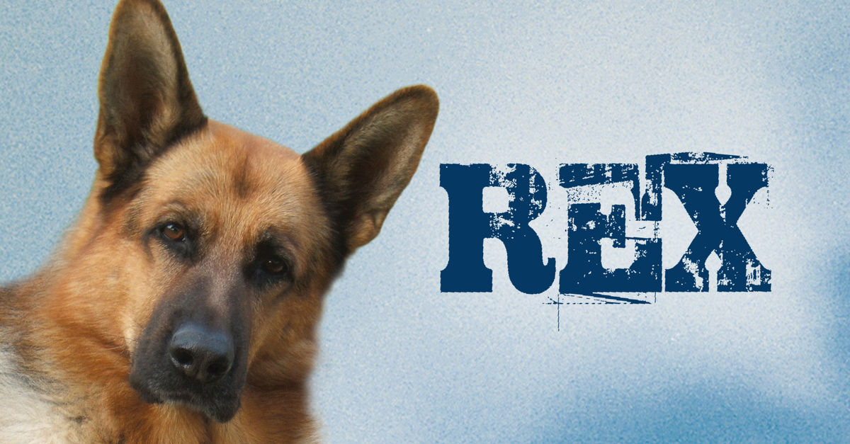 Ver Rex, capítulo 10 temporada 1 por ViX