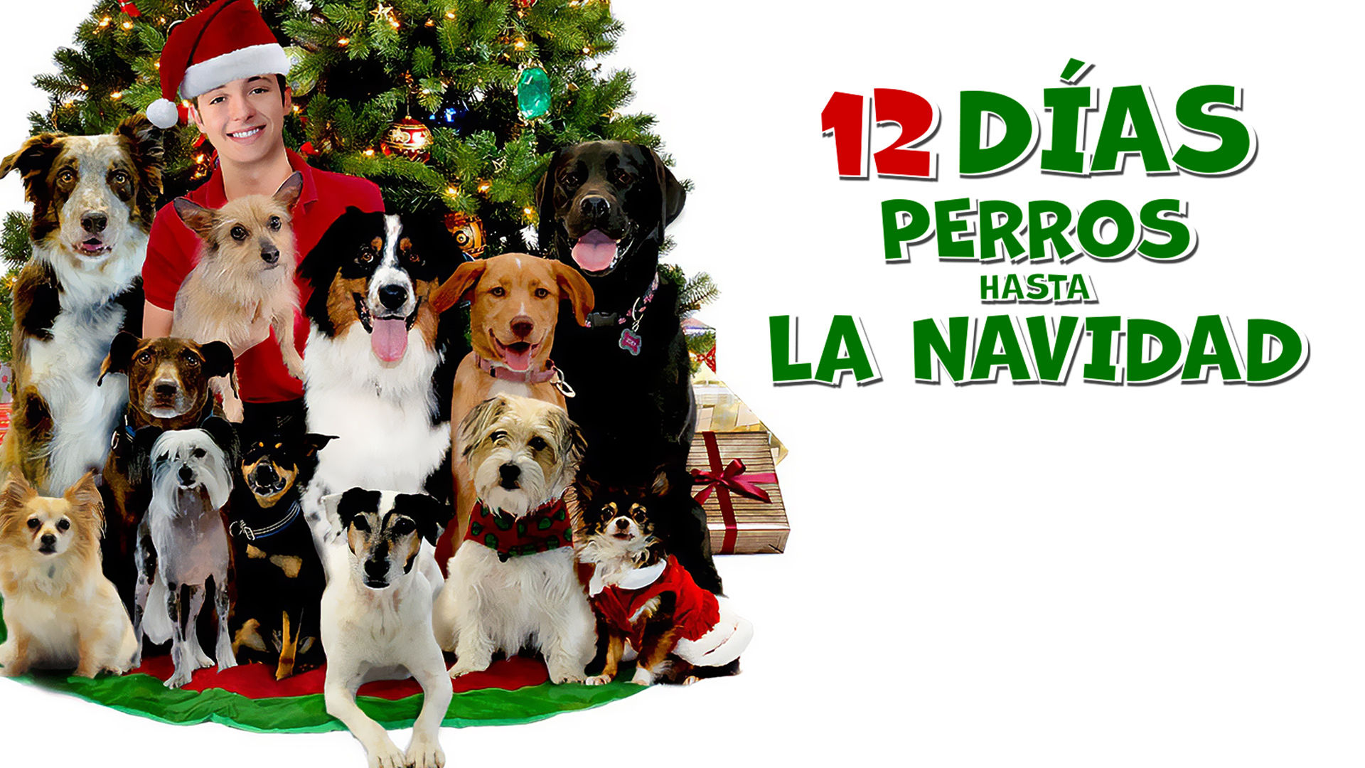 Ver 12 días perros para Navidad por ViX