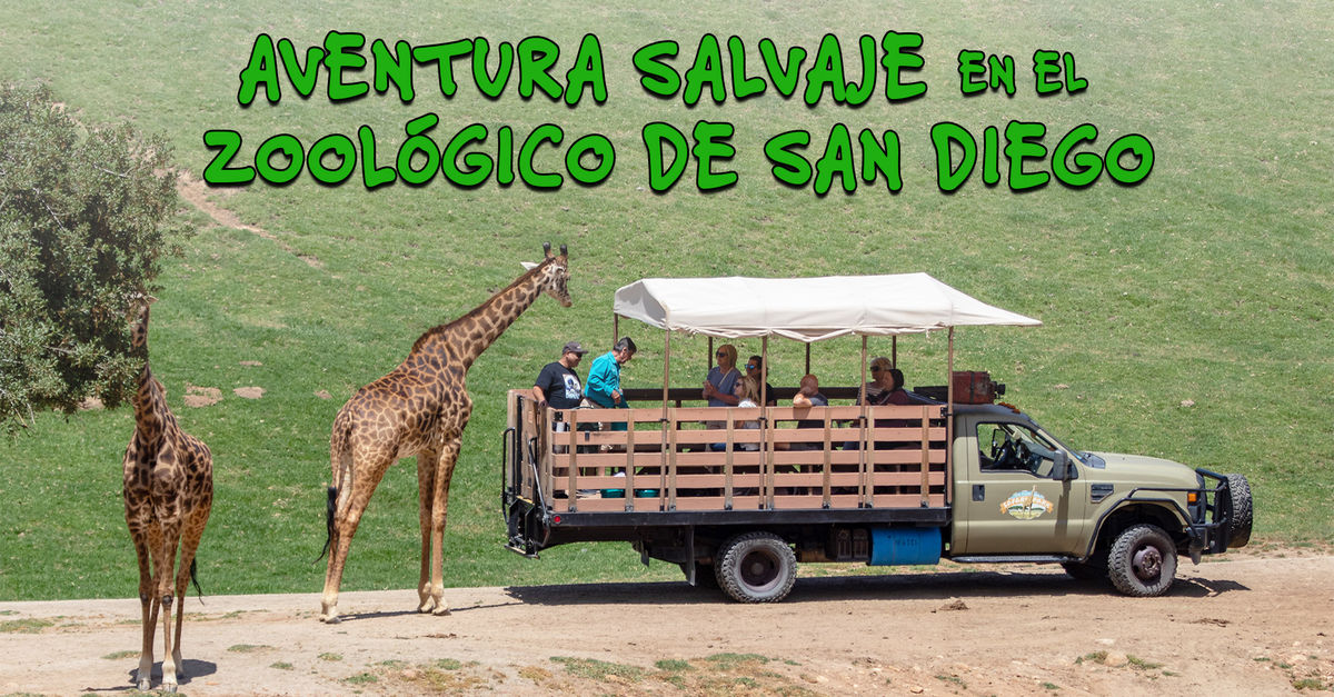 Ver Aventura Salvaje en el Zoológico de San Diego por ViX