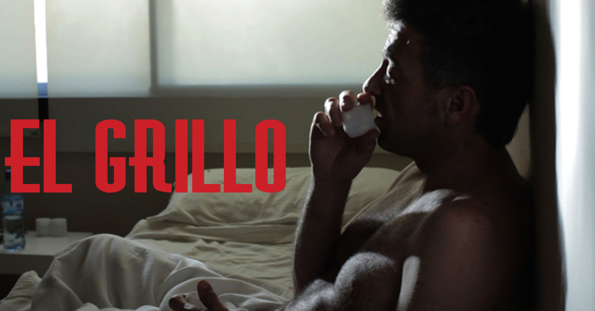 Ver El Grillo por ViX