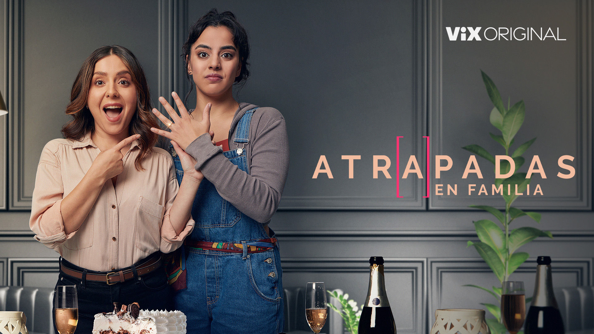 Ver Tráiler: Atrapadas en familia por ViX