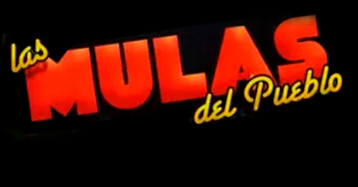 Ver Las mulas del pueblo por ViX