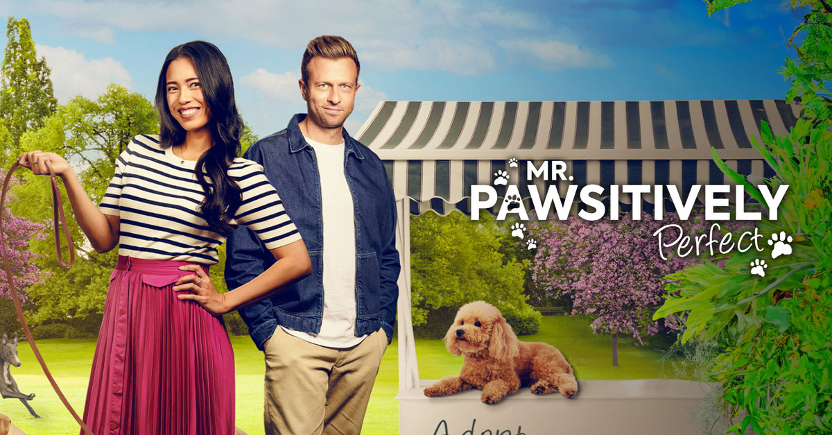 Ver Mr. Pawsitively Perfect por ViX