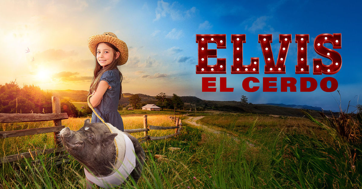 Ver Elvis el cerdo por ViX