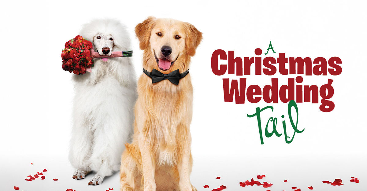 Ver A Christmas Wedding Tail por ViX
